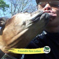 Dashboard | Oliver Pfeiffer