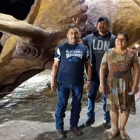 Dashboard | José Fonseca