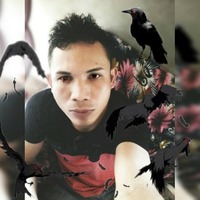 Dashboard | Samuel Costa