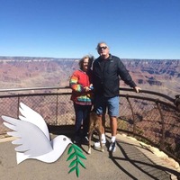 Dashboard | Joan Reed