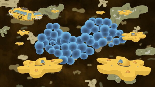 The Magic School Bus Rides Again Season 2 Episode 11 Recap and Links