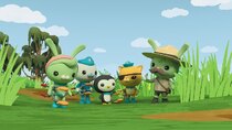 Octonauts Season 4 Episode 20