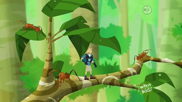Wild Kratts Season 6 Episode 5