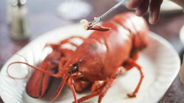 Bizarre Foods: Delicious Destinations Season 8 Episode 13