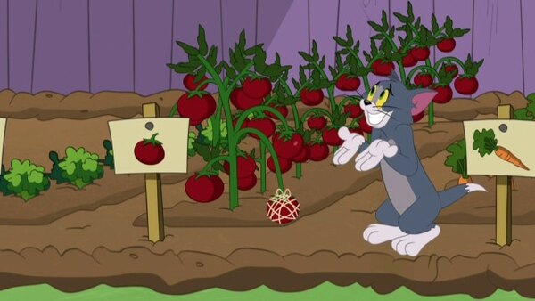The Tom and Jerry Show Season 3 Episode 64