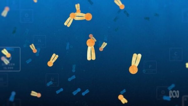 The Chemical World Season 1 Episode 1