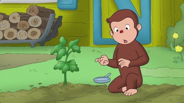Curious George Season 14 Episode 2