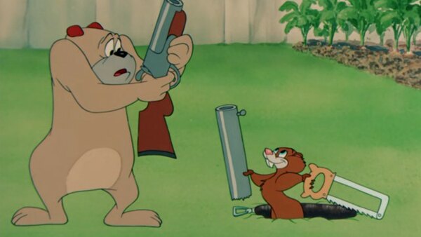 MGM Cartoons Season 1950 Episode 9