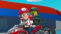 Paw Patrol Season 3 Episode 5