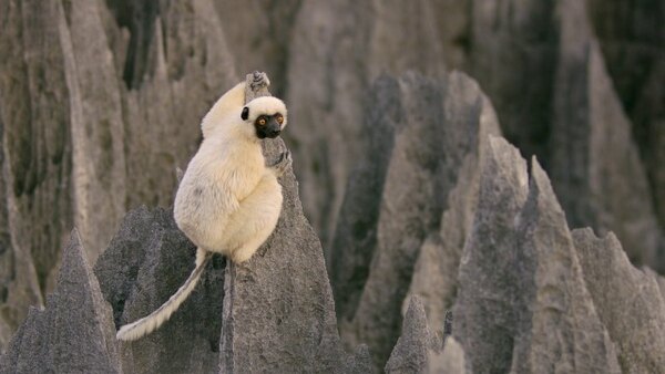 Our Great National Parks Season 1 Episode 1 info and links where to watch