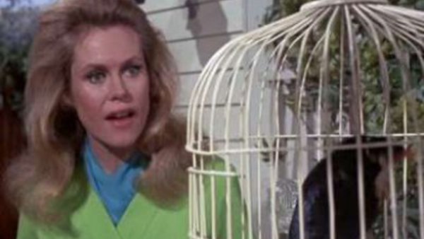 Bewitched Season 5 Episode 23 Recap
