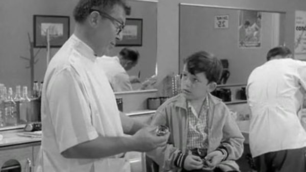 Leave It to Beaver Season 1 Episode 4 Recap