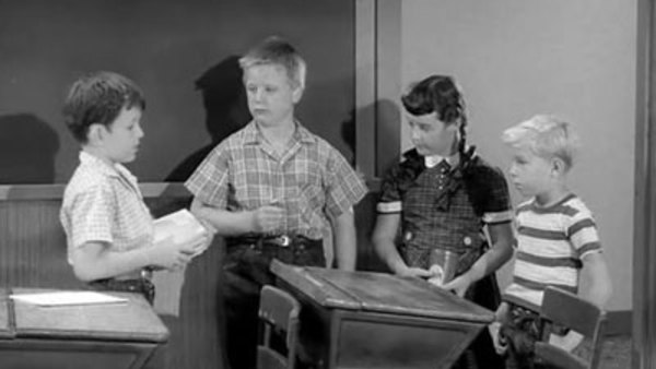 Leave It to Beaver Season 1 Episode 8 Recap