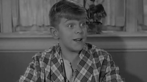 Leave It to Beaver Season 5 Episode 24 Recap