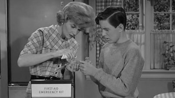 Leave It to Beaver Season 6 Episode 25 Recap