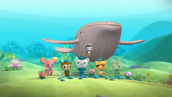Octonauts Season 1 Episode 14 - Watch Octonauts S01E14 Online