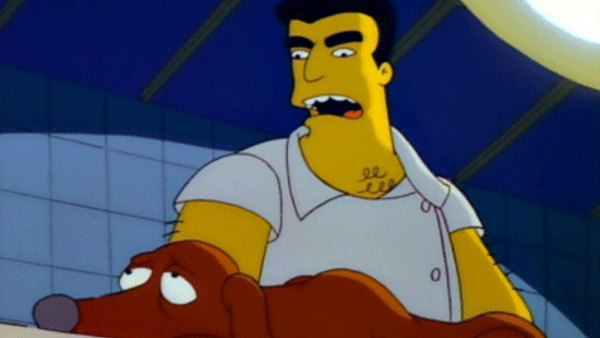 The Simpsons Season 3 Episode 19 Recap