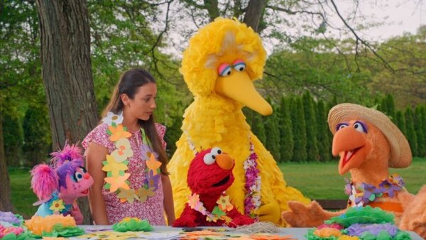 Sesame Street Season 53 Episode 13
