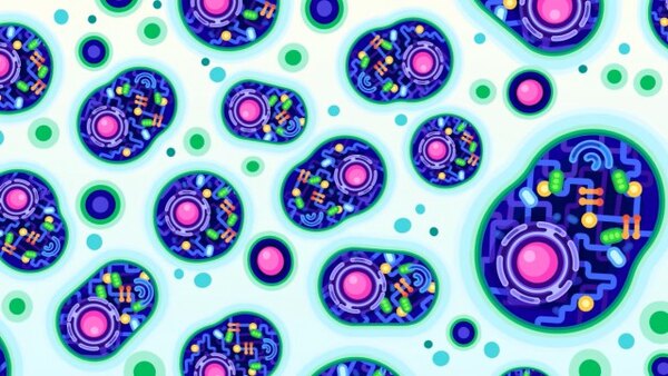 Kurzgesagt – In a Nutshell Season 2023 Episode 1