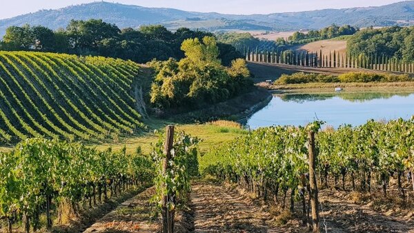 Learning Italian: Step by Step and Region by Region Season 1 Episode 24