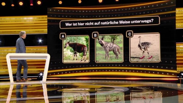 Das 1% Quiz – Wie clever ist Deutschland? Season 1 Episode 2