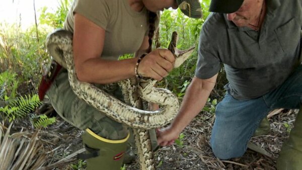 Swamp People: Serpent Invasion Season 3 Episode 15