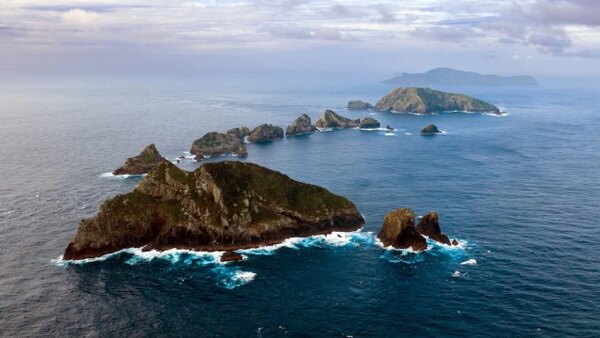 Beasts of the Big Blue Season 1 Episode 5