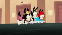 Animaniacs Season 8 Episode 10