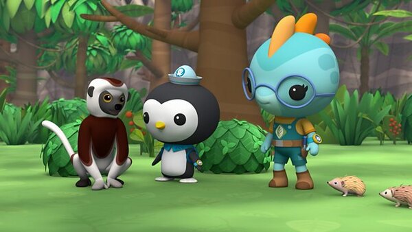 Octonauts: Above & Beyond Season 4 Episode 3