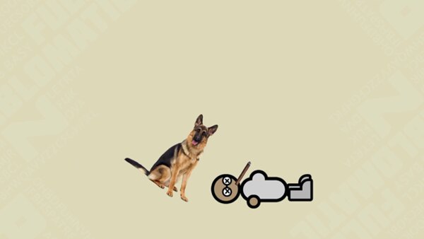 Fully Ramblomatic Season 2024 Episode 9