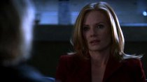 CSI: Crime Scene Investigation episodes (TV Series 2000 - 2015)