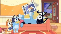 Bluey Minisodes Season 1 Episode 3