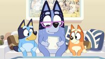 Bluey Minisodes Season 1 Episode 3