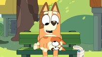 Bluey Minisodes Season 1 Episode 6