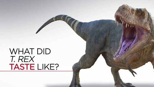 Rediscovering the Age of Dinosaurs Season 1 Episode 10