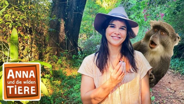 Anna and the wild animals Season 15 Episode 1