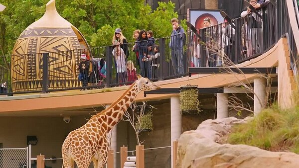 Taronga: Who’s Who In The Zoo Season 3 Episode 1