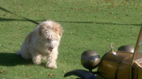 Brum Season 3 Episode 2