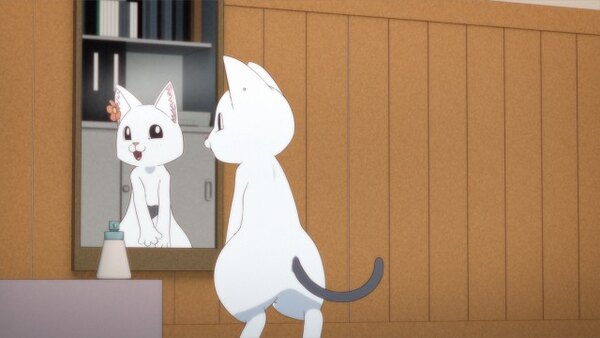 Ramen Aka Neko Episode 10 info and links where to watch