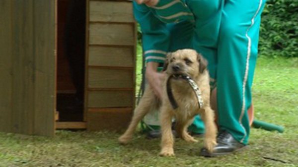 Brum Season 3 Episode 14