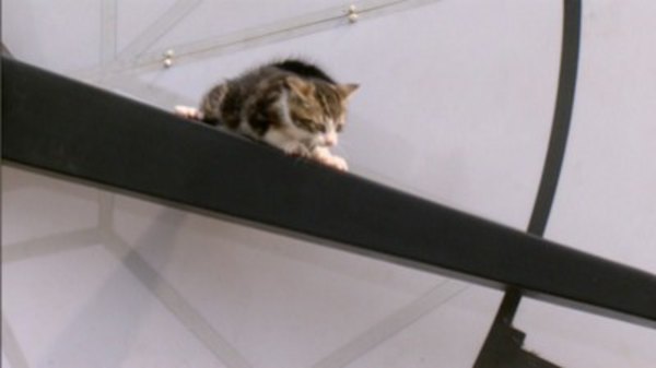 Brum Season 3 Episode 18