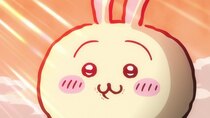 Chiikawa episodes (Anime TV 2022 - 2025)