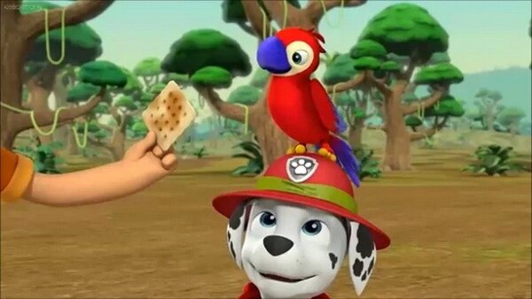 Paw Patrol Season 3 Episode 38