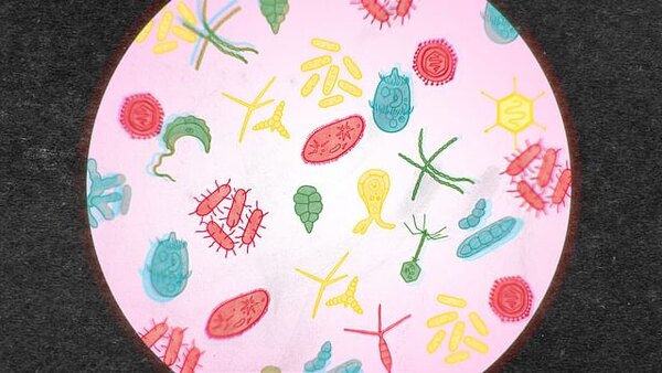 42 - The Answer to Almost Everything Season 2025 Episode 7