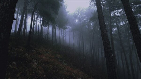 History's Greatest Mysteries Season 6 Episode 8