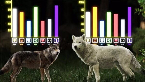 TierZoo Season 2025 Episode 3