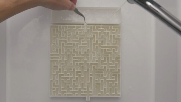 PythagoraSwitch Season 2025 Episode 11