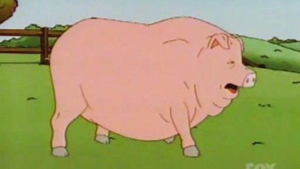 King of the Hill Season 7 Episode 9 Recap