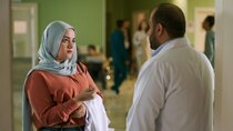 Midterm episodes (TV Series 2025 - 2026)