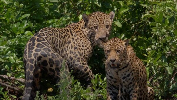 Inside the Enchanted Waterways Season 1 Episode 3